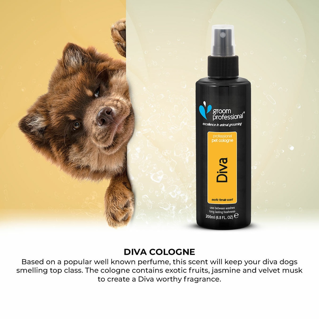 Groom Professional Diva Cologne (Perfume)[Volume - 200 ml, Flavor ...